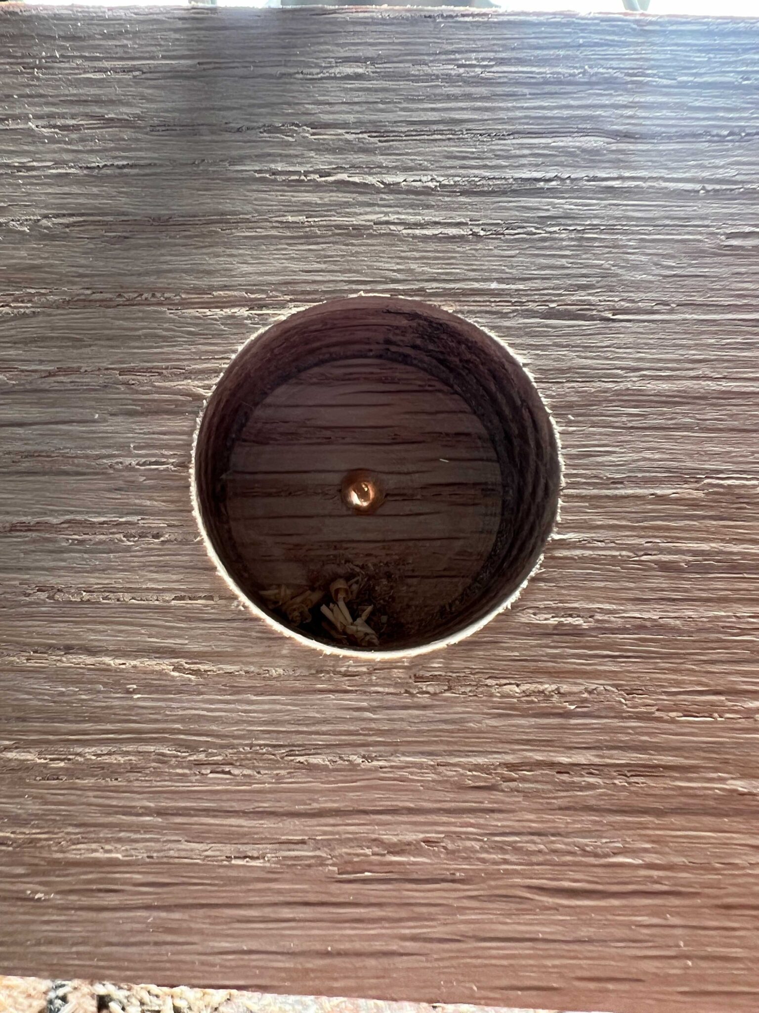 How to Build a Simple DIY Wood Ladder - Erin Zubot Design